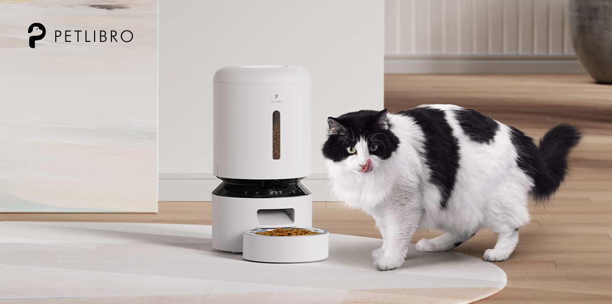 The Future of Smart Pet Care: Exploring Petlibro and Its Innovative ...