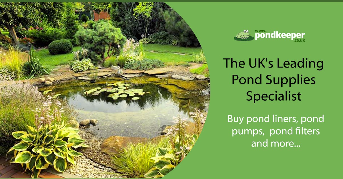 See Your Pond from a Whole New Angle: The PondXpert Viewtube Fish ...